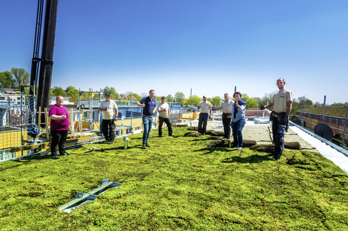 Begrüntes ﻿Aluminiumdach - Da wächst Gras drüber